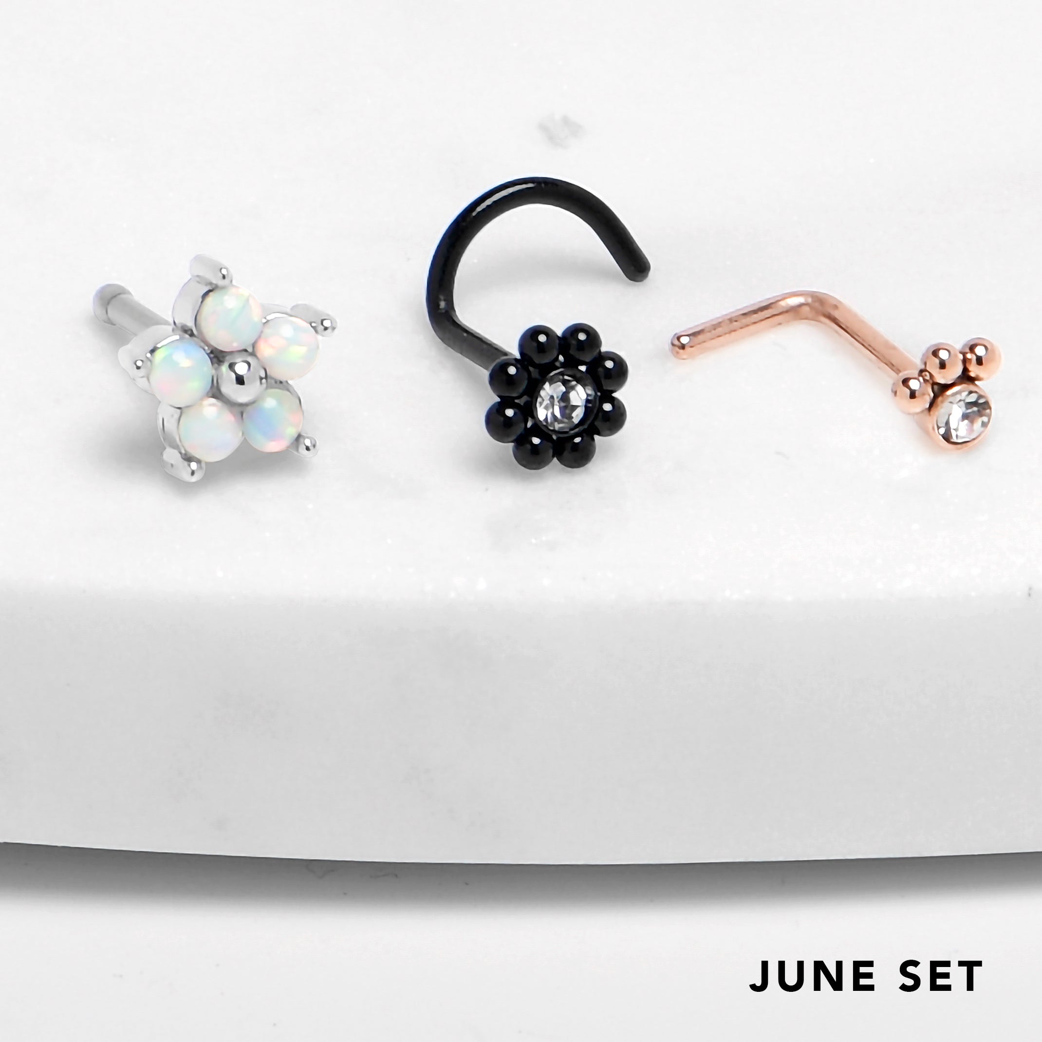 Nose Ring Monthly Club