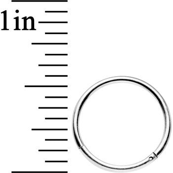 16 Gauge 1/2 Stainless Steel Hinged Segment Ring – BodyCandy