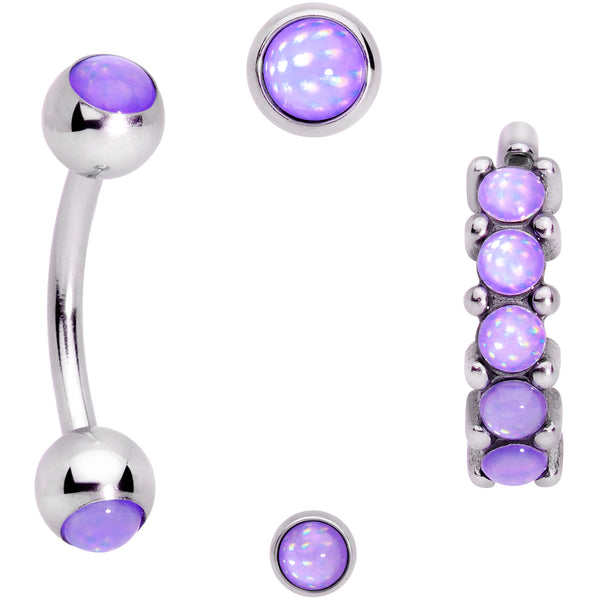 16 Gauge Purple Orb Septum Labret Cartilage Tragus Set of 4 – BodyCandy